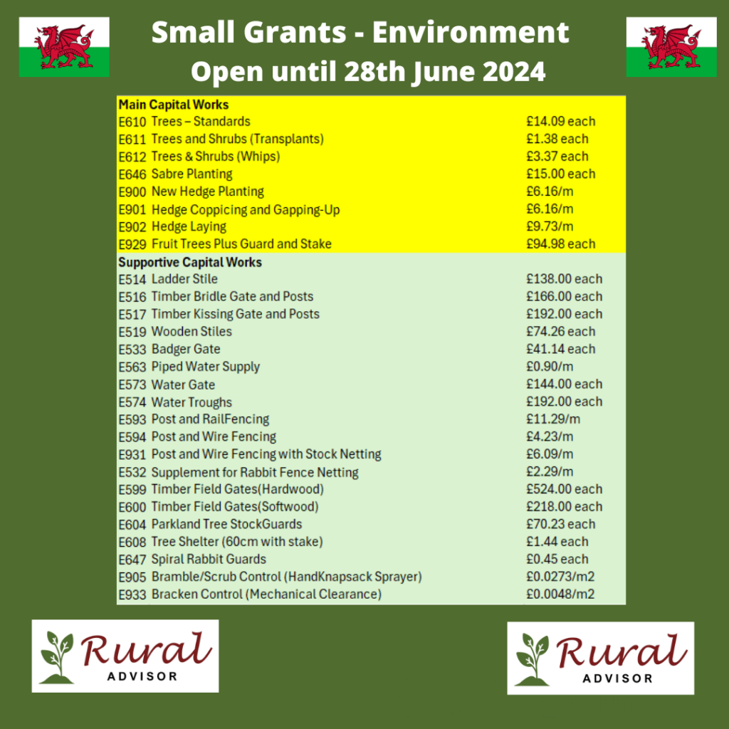 Small Grants - Environment (Carbon) - open in Wales until 28th June ...